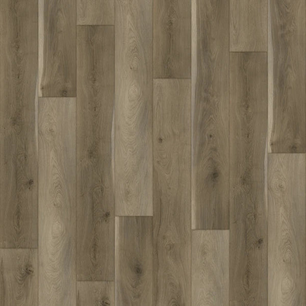 Insignia - Sample 12" – Lumberjack Direct, LLC